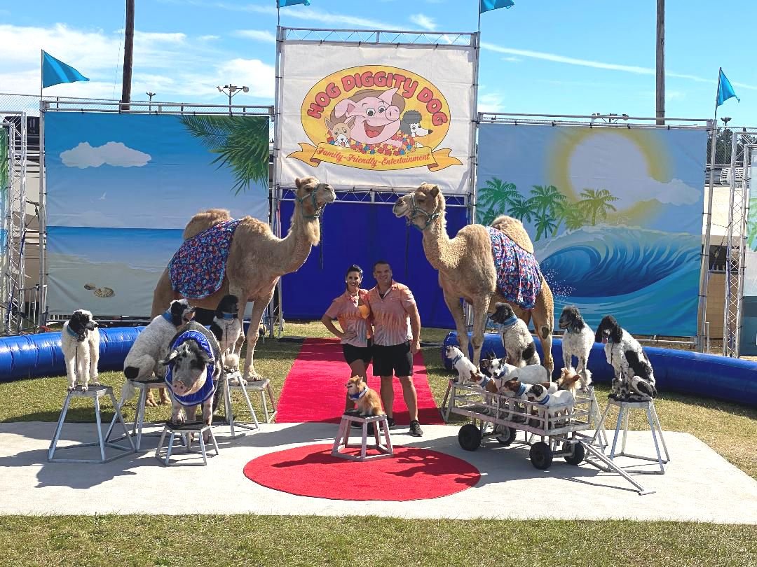 MVF | Grounds Attractions - MVF